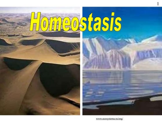 Powerpoint homeostasis | PPT