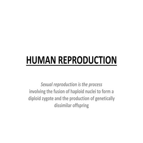 Powerpoint human reproduction | PPTX