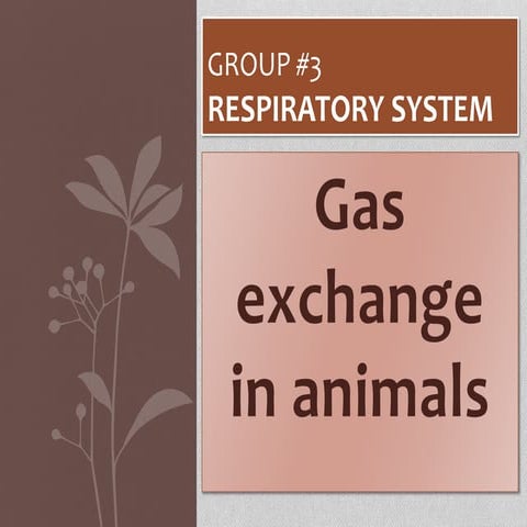 Gases Exchange in Plants
