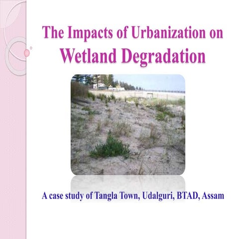 The Impacts of Urbanization on Wetland Degradation | PPT