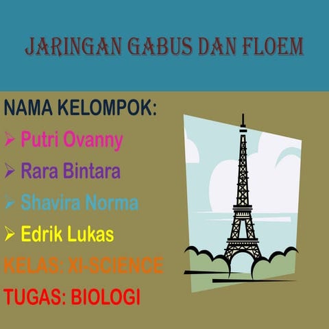 Jaringan gabus dan floem | PPTX