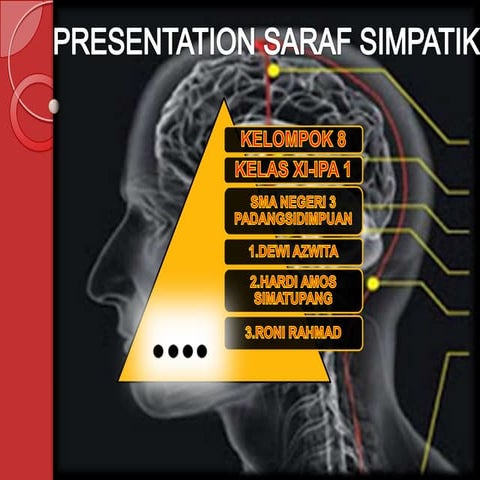 Power point kelompok saraf simpatik | PPTX