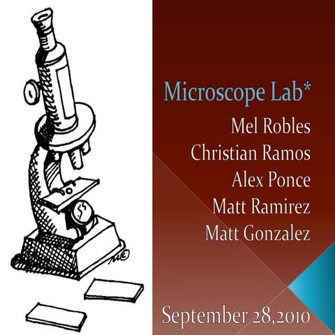 Power point lab | PPTX | Photography | Arts and Crafts