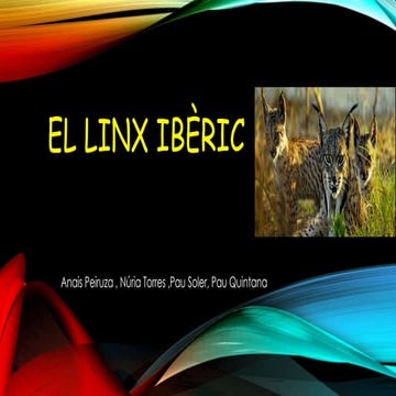 Linx ibèric | PPT