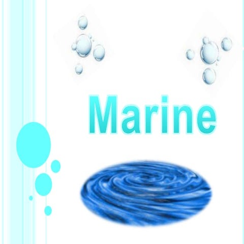 Marine Information Power Point | PPTX