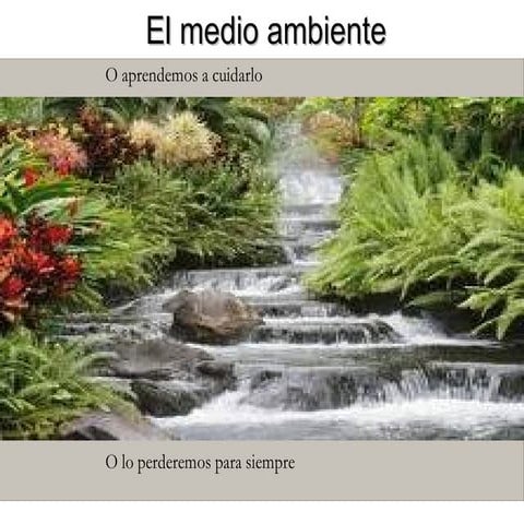 Powerpoint medio ambiente | PPT