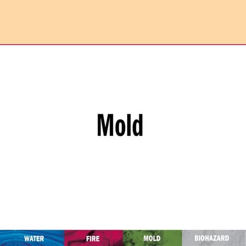 Power Point Mold | PPT