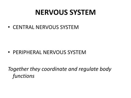 Nervous System | PPTX