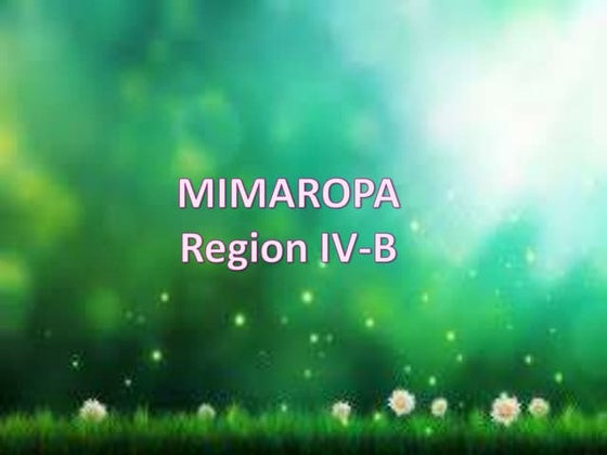 Rehiyon IV-B: MIMAROPA | PDF