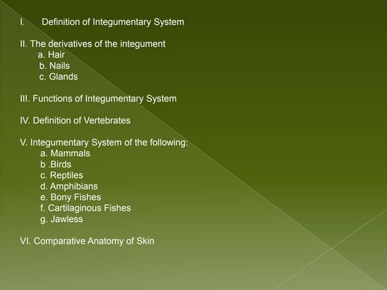 176-Anatomy-Integumentary-System.ppt