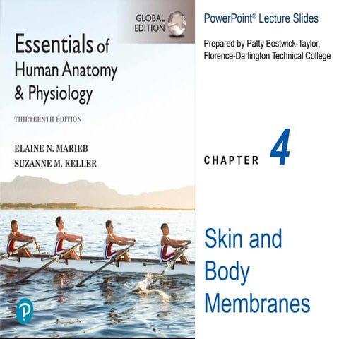Powerpoint on Skin and Body Membranes..pptx