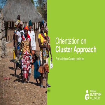 Power Point Orientation on the cluster approach.pptx