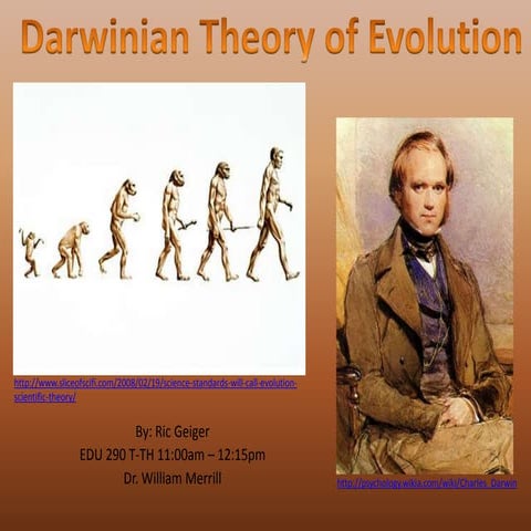 Human Evolution | PPT