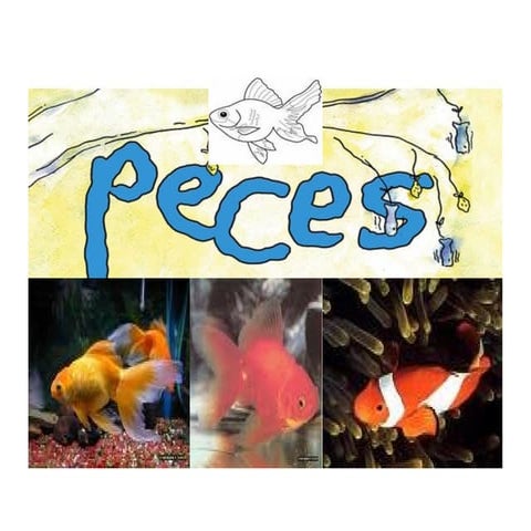Power Point Peces | PPT