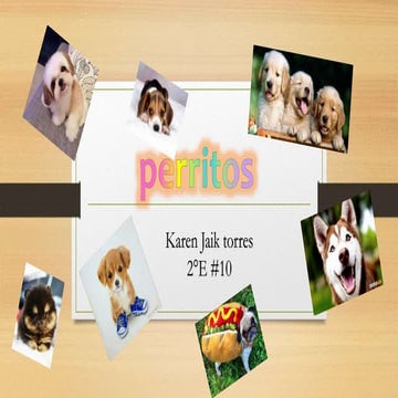 Los perros | DOCX