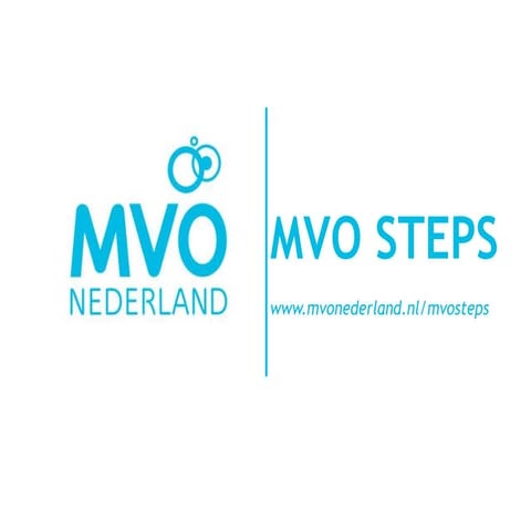 #MVONY13: MVO STEPS: een handige tool voor MVO-beleid en -implementatie ...