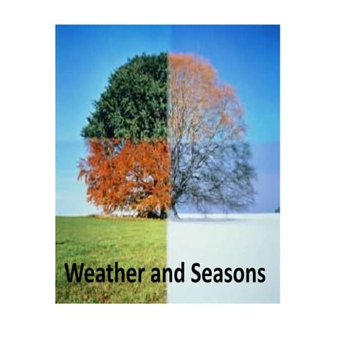 Powerpoint presentation | PPT