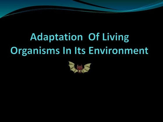 Animal adaptations | PPT