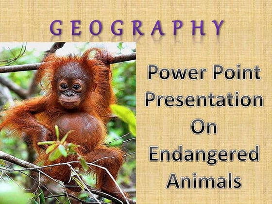 Endangered animals | PPTX | Environment | Science