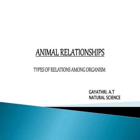 ANIMAL RELATIONSHIPS Powerpoint presentation by gayathri.a.t | PPTX