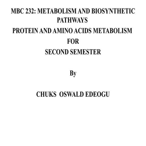 Comprehensive Overview of Protein Metabolism and Amino Acid ...