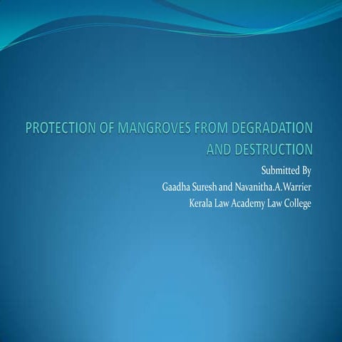 Power point presentation on protection of mangroves from destruction and degradation | PPTX