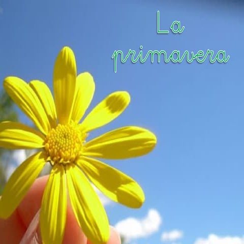 Power point primavera | PPT