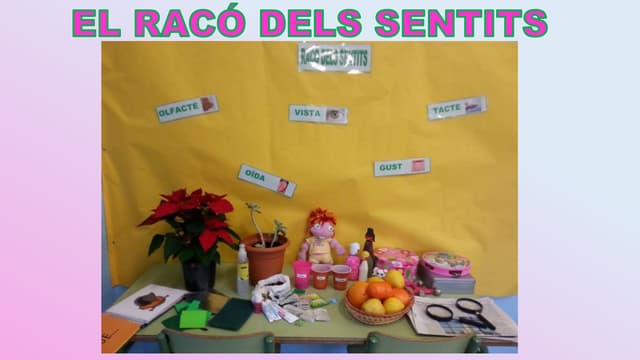 Els 5 sentits activitats | DOCX