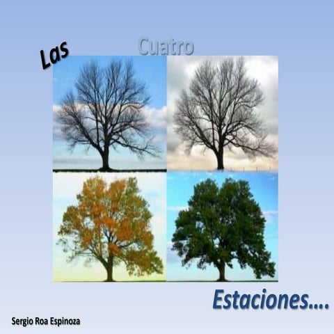 Las cuatro estaciones 12111 | PPS