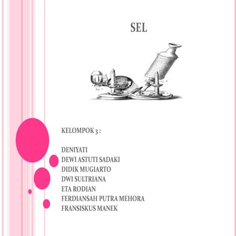 Powerpoint sel kel. 3 | PPTX