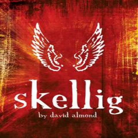 Power Point Skellig | PPTX