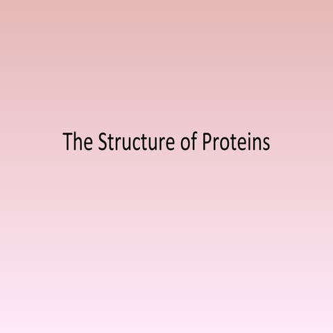 Structure of Proteins | PPT