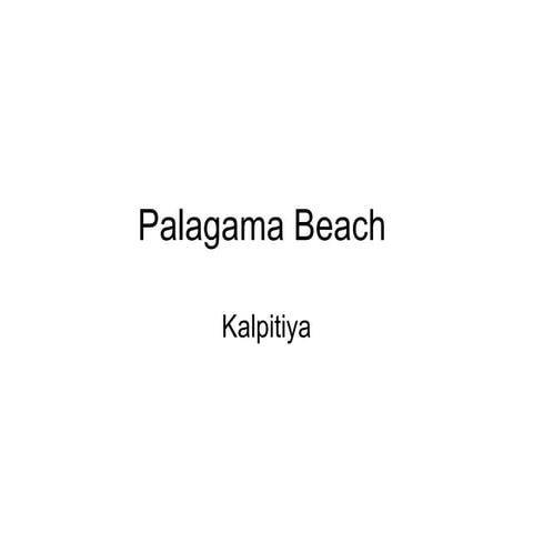 Palagama Beach, Kalpitiya - Sri Lanka | PPT