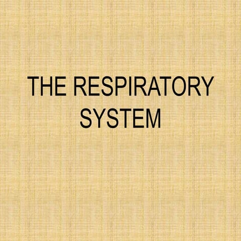 power point the respiratory system.ppt
