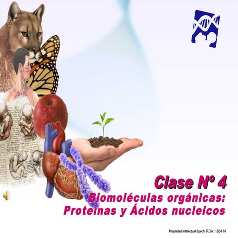 Power Point de Proteínas y Ác. Nucléicos | PPT