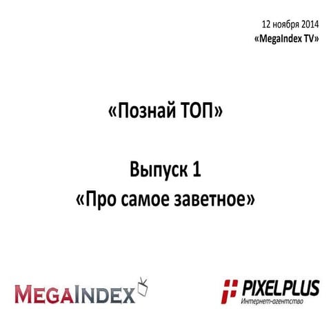 Познай ТОП на MegaIndex.tv. Севальнев Дмитрий (Пиксель Плюс) | PPT