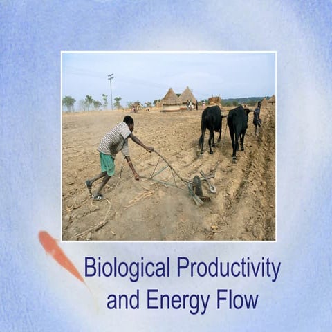Primary and secondary production, landscape ecology and ecological ...