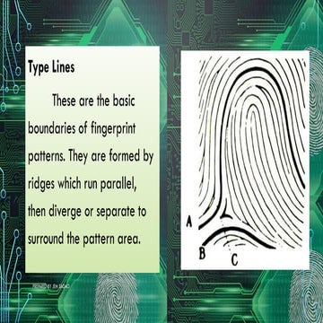 Fingerprint Classification- Loop Patterns | PPTX