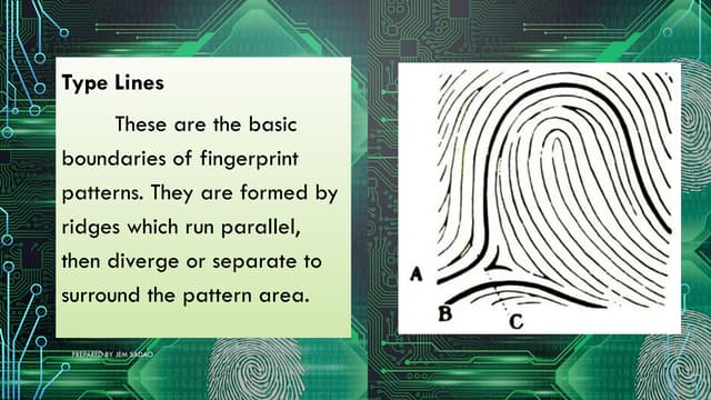 Ridge counting-and-tracing | PPT | Geology | Science