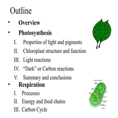 Photosynthesis-and-Cellular-Respiration.pptx