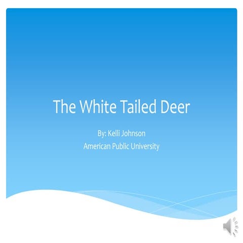 The White Tailed Deer | PPTX