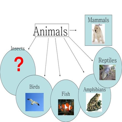 Mammals (1) | PPT