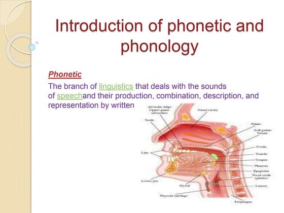 Phonetic Rules | DOCX