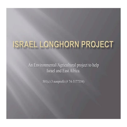 Pp7 Longhorn Project 1 | PPT | Free Download