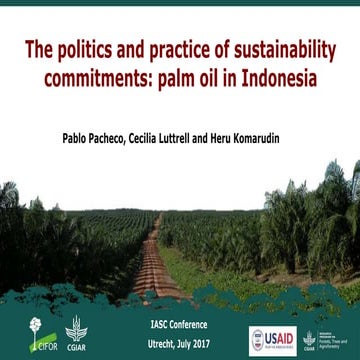 The politics and practice of zero-deforestation and sustainability ...