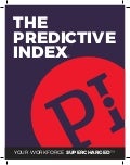 Strategy and execution performance predictive index
