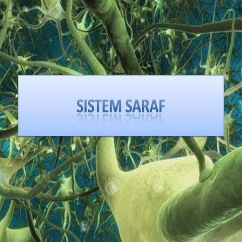 Anatomi Sistem Saraf | PPTX