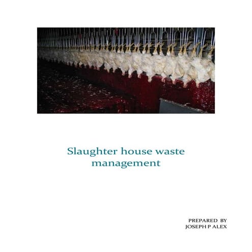 LAYOUT DESIGN OF SLAUGHTER HOUSE.pptx