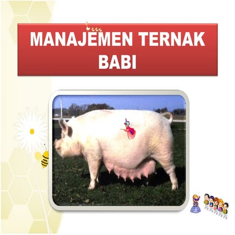 BUDIDAYA BABI.ppt