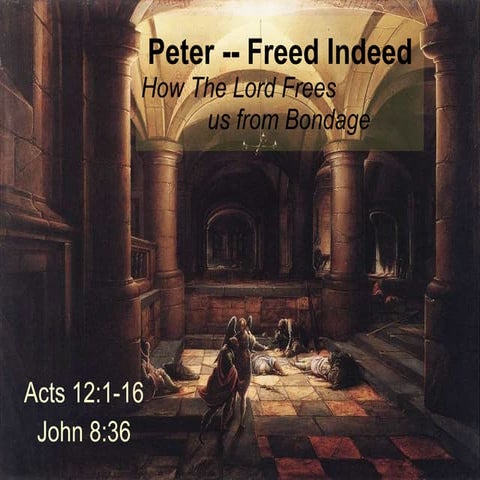 Peter was set free; How about You? | PPT